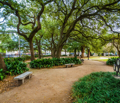 Marigny, New Orleans Homes for Sale | Satsuma Real Estate